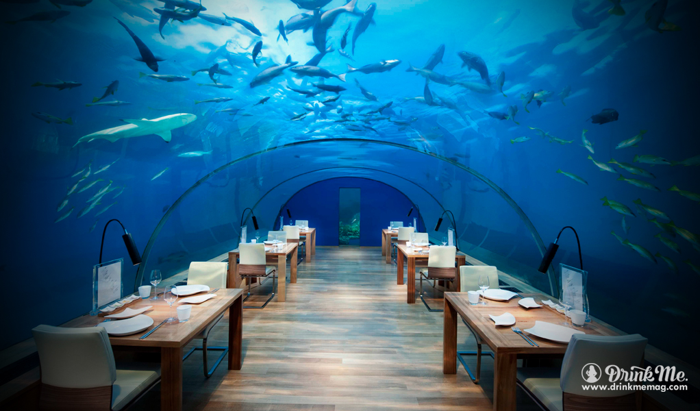 Ithaa Undersea Restaurant - Drink Me