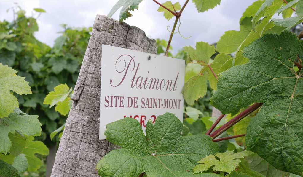 Plaimont Producteurs | Drink Me Magazine